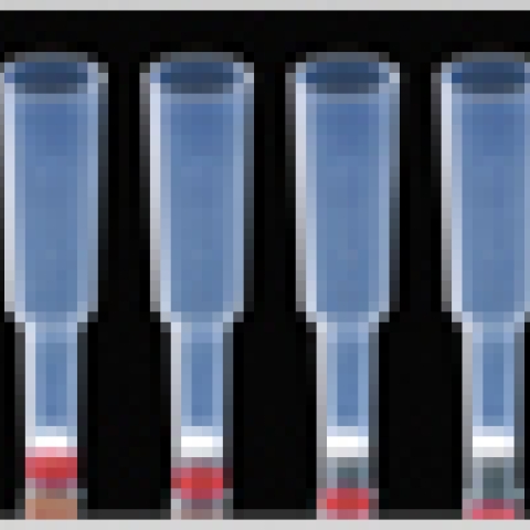 Size Exclusion Chromatography Kit | Bio-Rad Laboratories