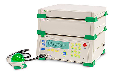 Gene Pulser Xcell™ 电穿孔系统 | Bio-Rad