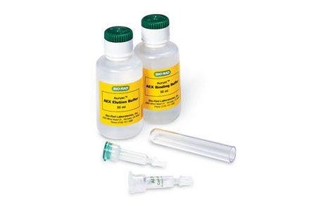 Aurum™ Ion Exchange Mini Kits | Bio-Rad