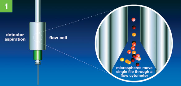 BioPlex 2200 System | Clinical Diagnostics | Bio-Rad