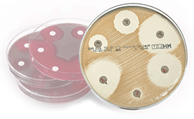 Infectious Disease | Bio-Rad