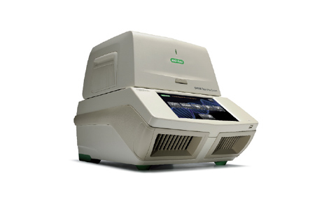 Bio Rad Sybr Green Manual - collectorbackuper