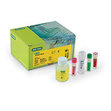 iQ-Check Vibrio PCR Detection Kit | Food Science | Bio-Rad