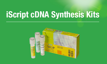 Save 45% on iScript cDNA Synthesis Kits-422003 | Life Science Research ...