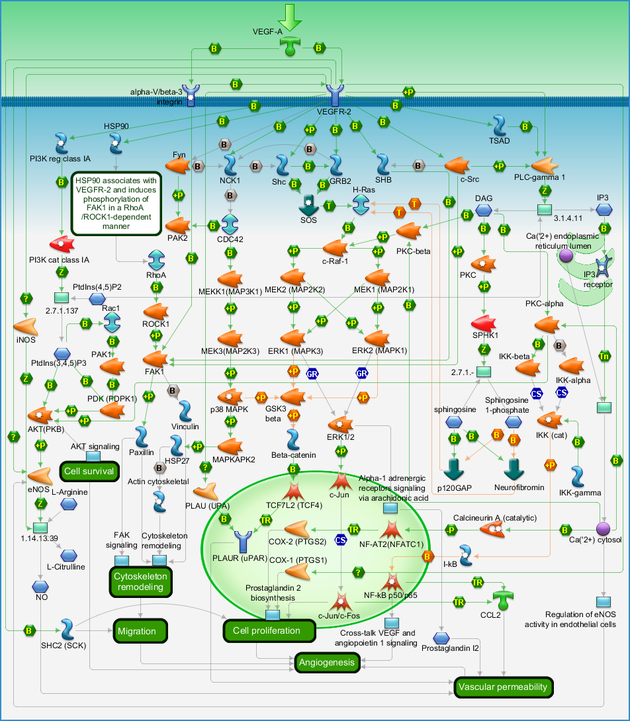 map kinase signaling system map kinase cascade map kinase signaling Quotes