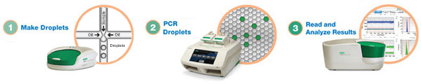 QX100™ Droplet Digital™ PCR システム | Bio-Rad