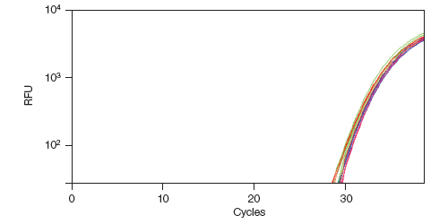 iScript™ Advanced cDNA Synthesis Kit for RT-qPCR | Life Science ...