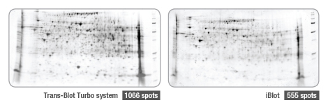 Trans-Blot® Turbo™ Transfer System | Life Science Education | Bio-Rad