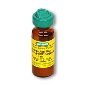 Rabbit Anti-Goat IgG (H+L)-HRP Conjugate #1721034 | Life Science ...