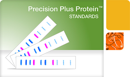 Buy 3 for the Price of 2 Precision Plus Protein™ Standards-294303 ...