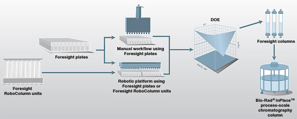 Foresight™ Prepacked Chromatography Filter Plates | Process Separations ...